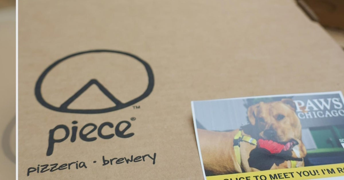 'Slice To Meet You': PAWS Chicago teaming up with Piece Pizza - CBS Chicago