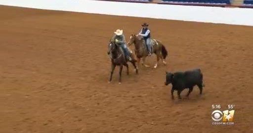 What to expect at the annual Fort Worth Stock Show & Rodeo - CBS Texas