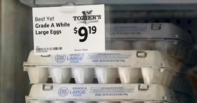 Egg prices skyrocket despite slowing inflation - TrendRadars