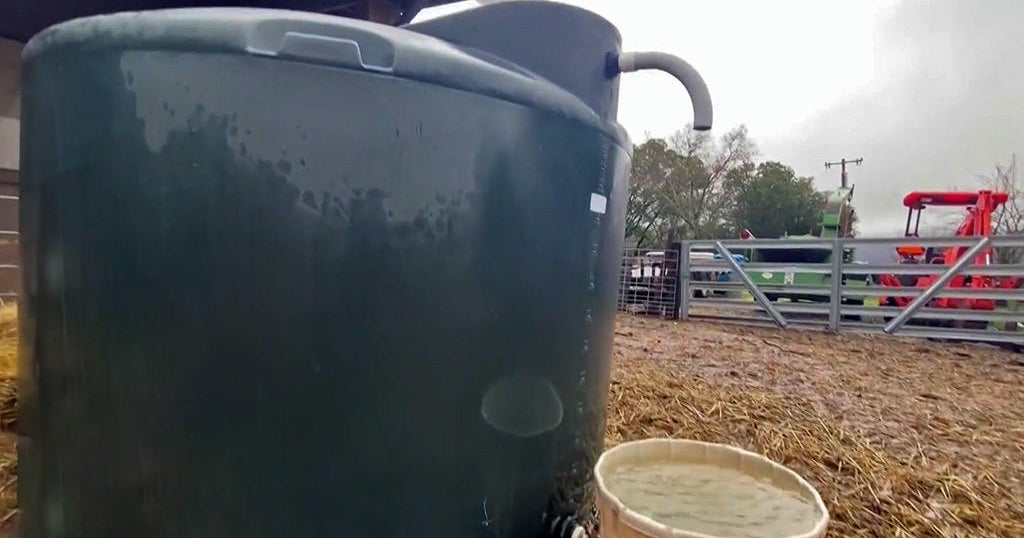 North Bay farmer rigs system to store excess rain for drier days - CBS ...