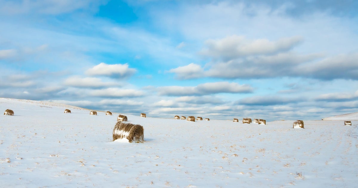 Wisconsin man, 60, killed on farm after hay bales fell on him - CBS ...
