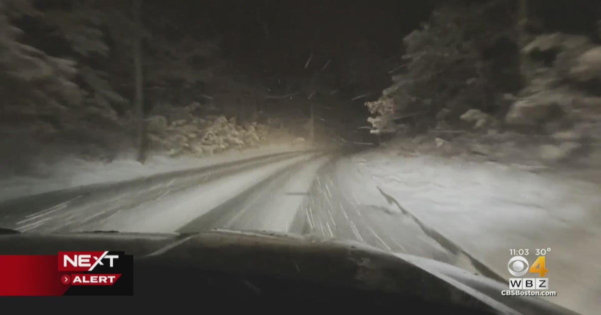 Downed limbs, slick roads create issues during Sunday's snow - CBS Boston
