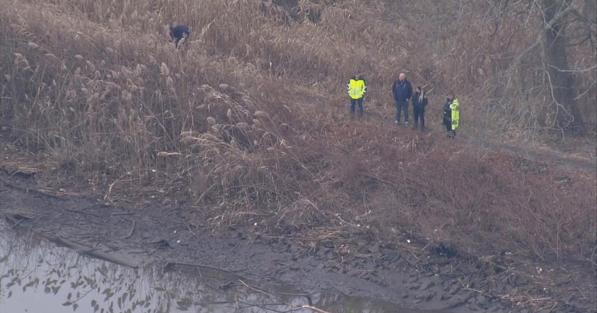 Woman's body found in Darby Creek in Tinicum Township: police - CBS ...