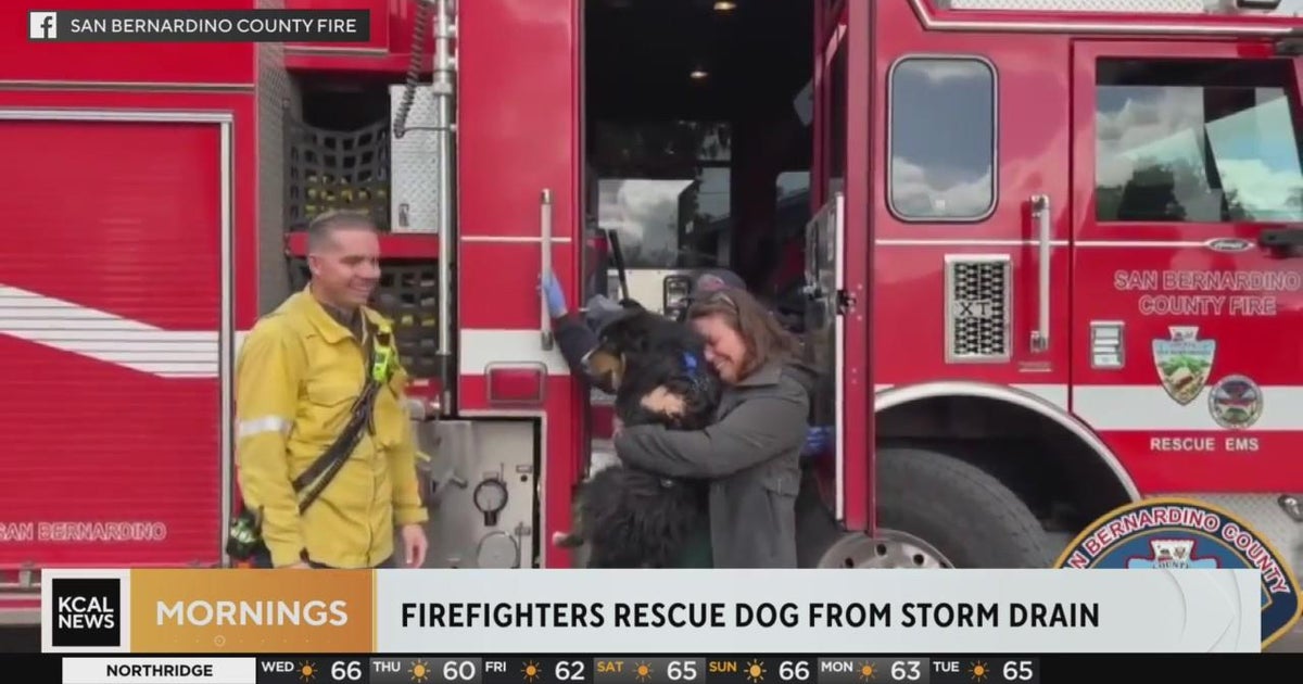 San Bernardino firefighters rescue dog from storm drain - CBS Los Angeles