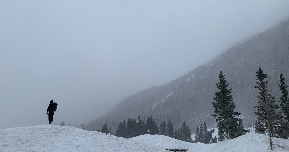 Massive avalanche knocks out town of Ophir's power in San Miguel County ...