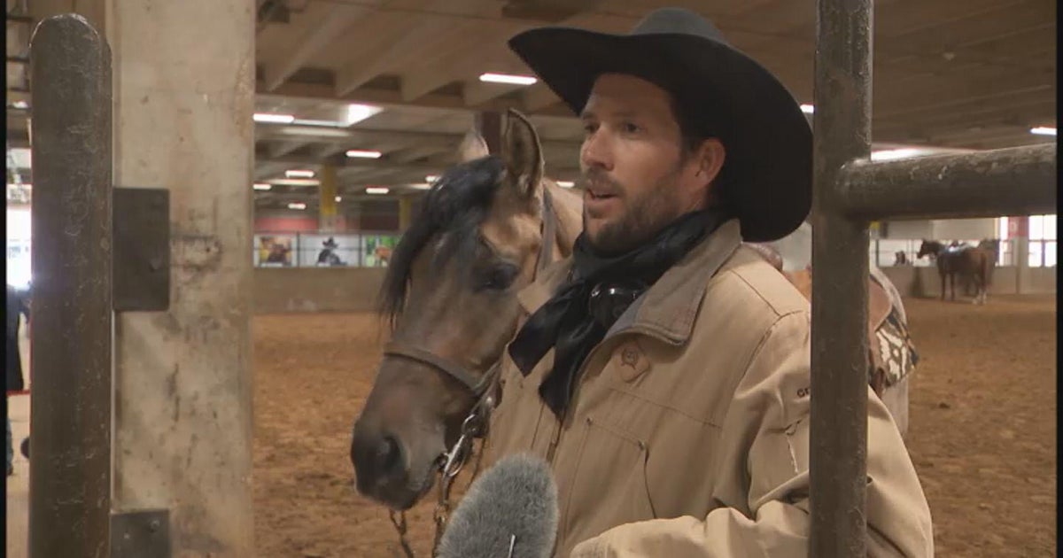 Fort Worth Stock Show goers offer cowboy-to-Cowboy advice ahead of ...