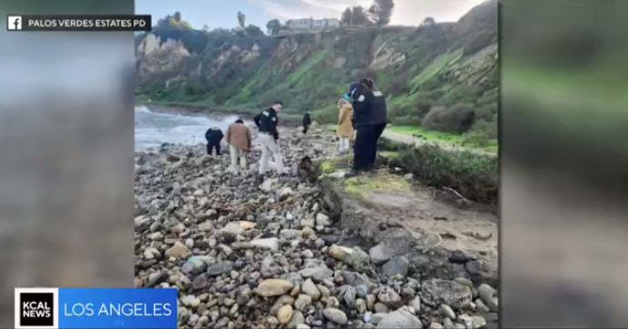 Investigation underway after human bone found on beach in Palos Verdes ...