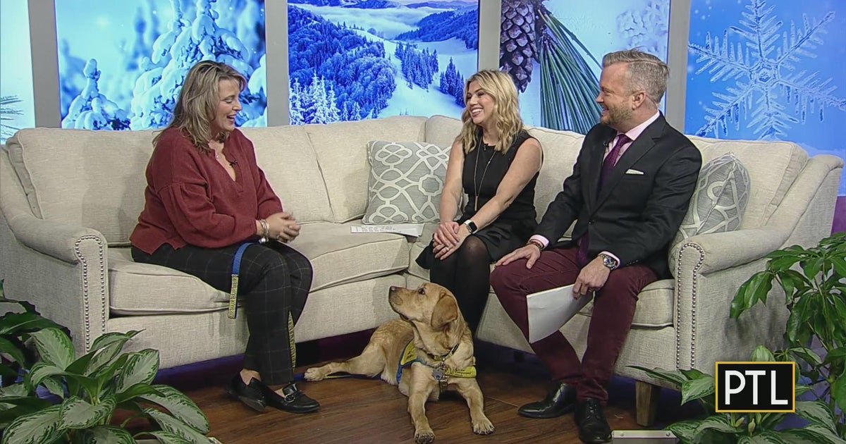 PTL Pupdate: The Magical Match - CBS Pittsburgh