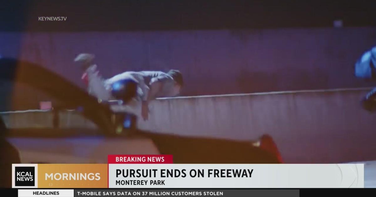 Wild pursuit: Aerosol flamethrower, running across freeway - CBS Los ...