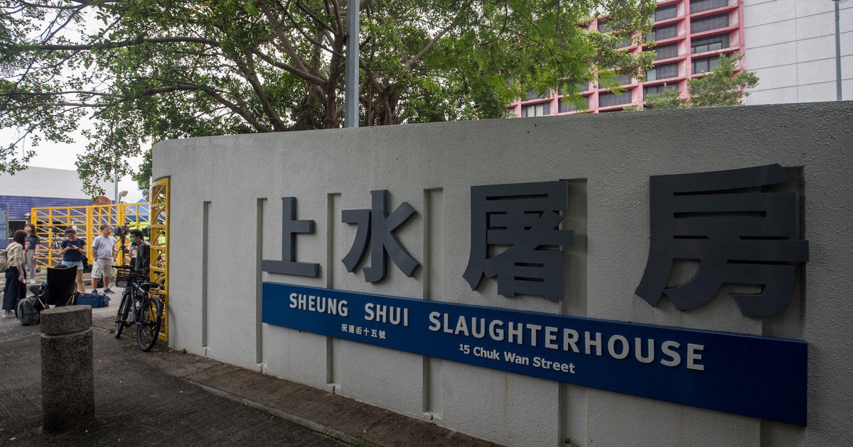 Hong Kong butcher killed by pig he was trying to slaughter - CBS Sacramento