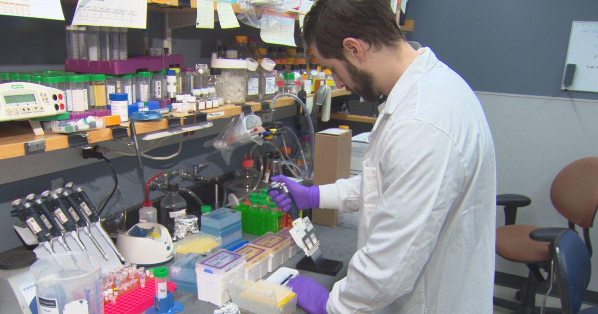 Harvard researchers say changing DNA in mice appears to reverse aging ... Harvard researchers say changing DNA in mice appears to reverse aging ...
