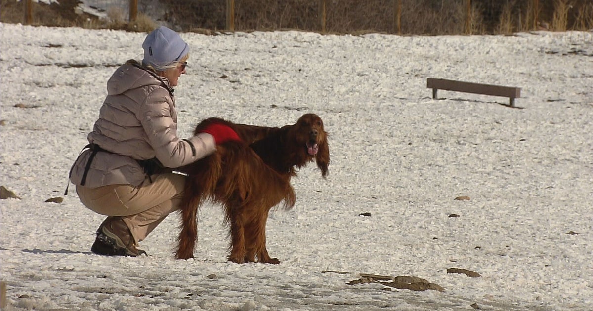 Winter fatigue impacting Coloradans more this season than previous ...