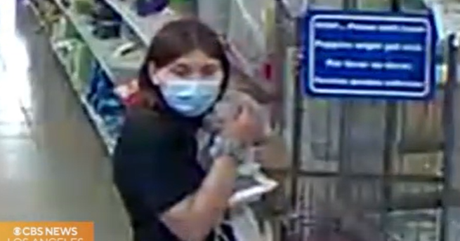 Bell Gardens police: Puppy-snatching suspect arrested following public ...