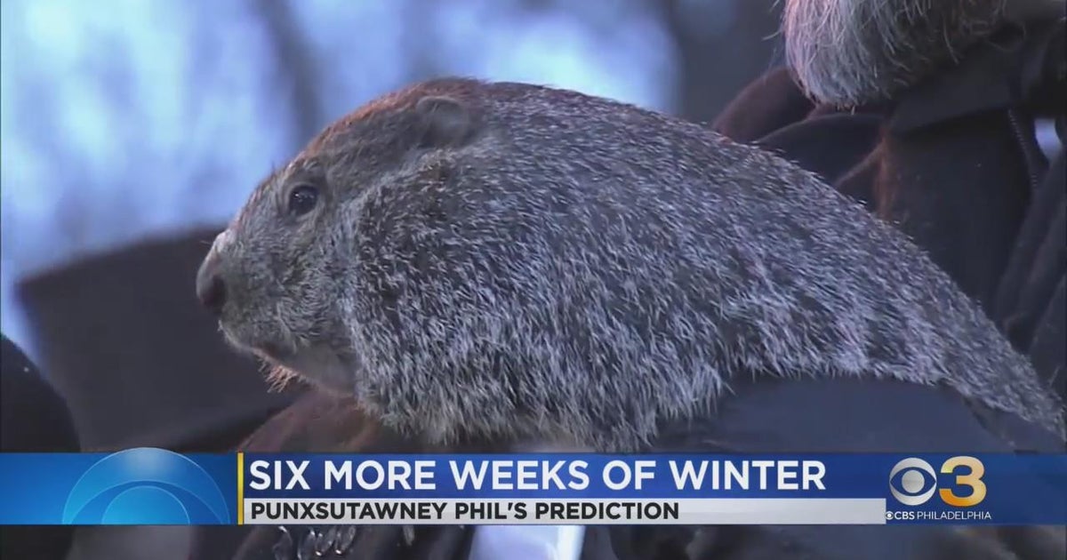 Six more weeks of winter, Punxsutawney Phil says - CBS Philadelphia
