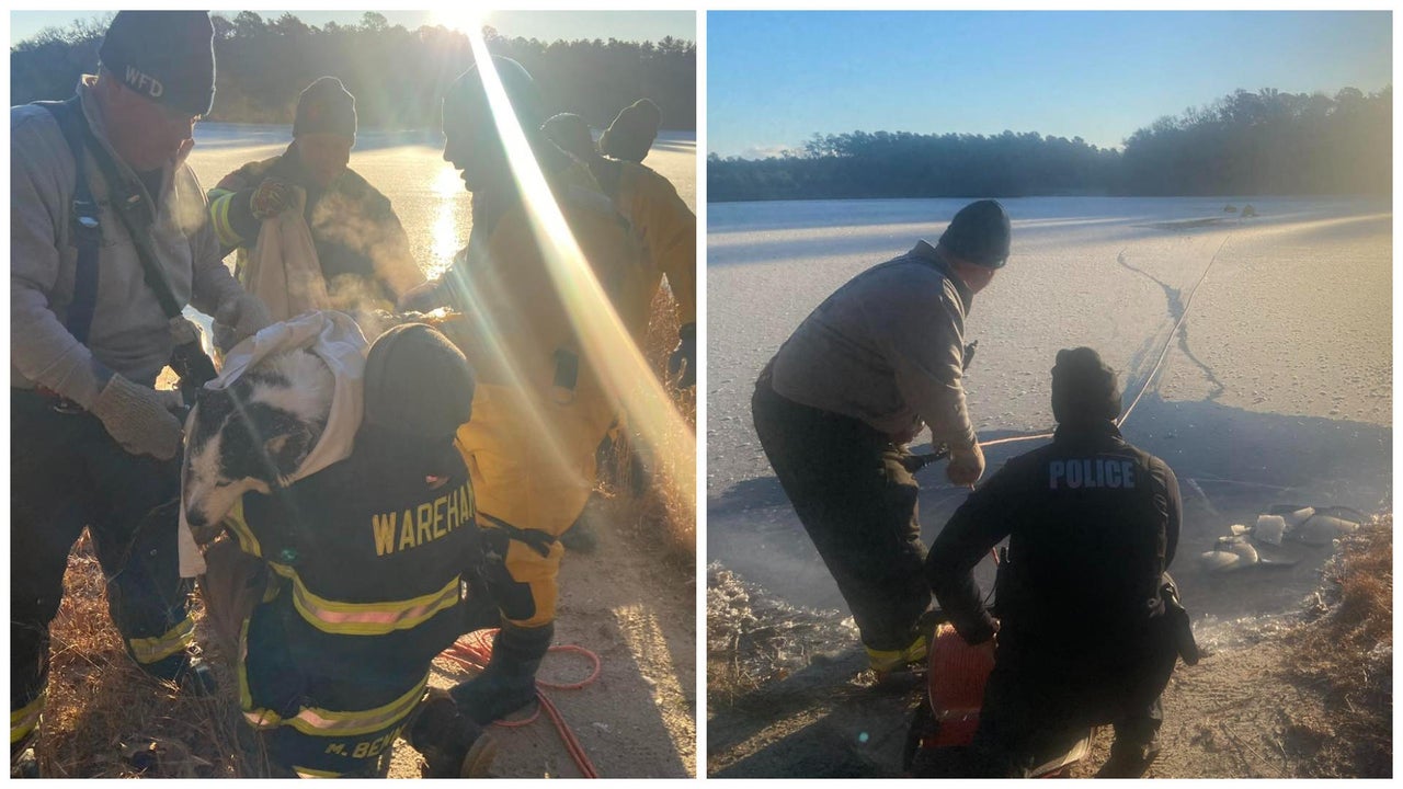 Wareham News news - Today’s latest updates - CBS Boston