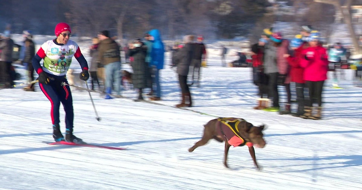 Warmer temps make for magical City of Lakes Loppet - CBS Minnesota