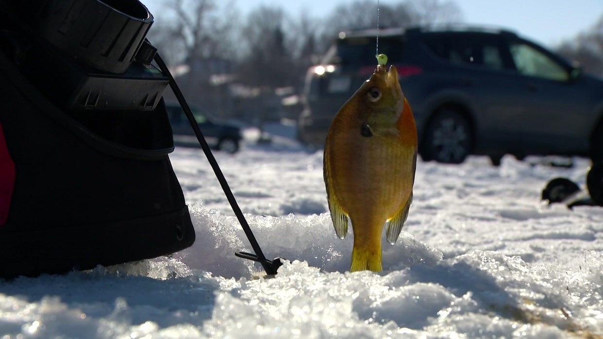 After "hectic, chaotic" start to ice fishing season, things smooth as ...
