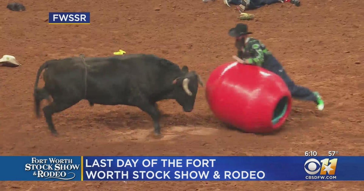 Saturday marks last day of the Fort Worth Stock Show & Rodeo - CBS Texas