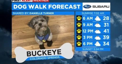Buckeye joins Dog Walk Forecast - CBS Colorado