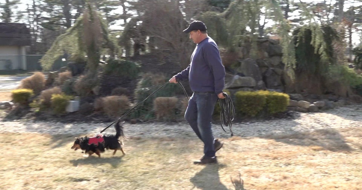 Long Island man and his dog Winston help find people's missing pets ...