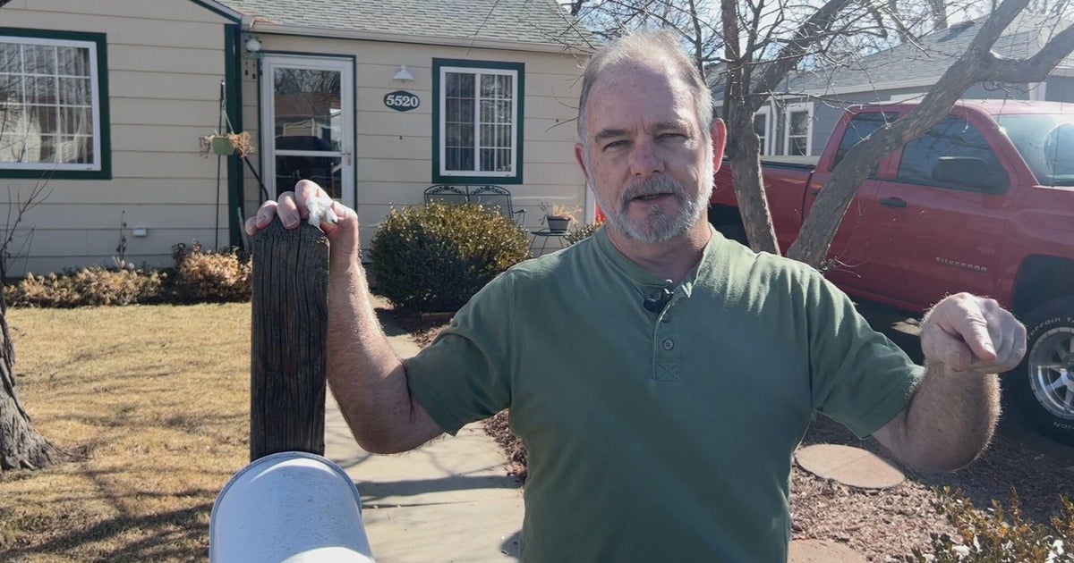 Alleged victim of tree-trimming scam: "my little 'Spidey Senses' went ...