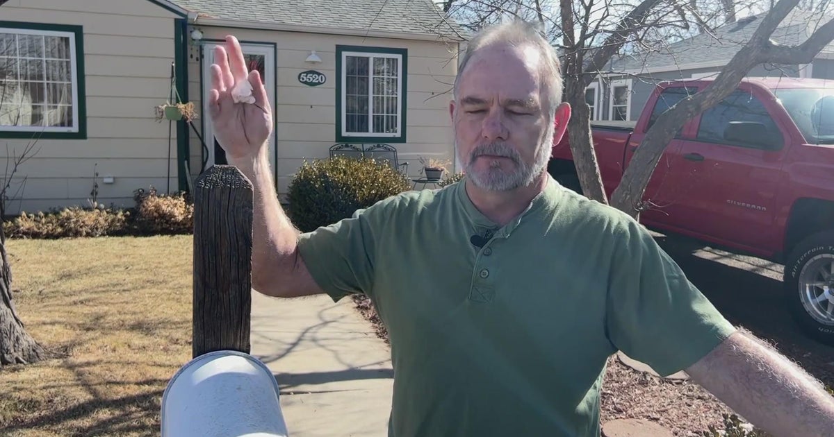 Alleged victim of tree-trimming scam: "my little 'Spidey Senses' went ...