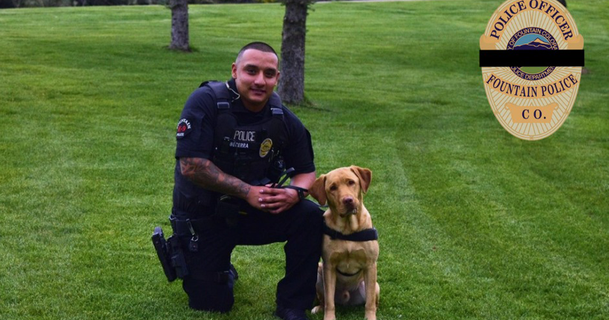 Fountain police officer dies 10 days after falling from bridge - CBS ...