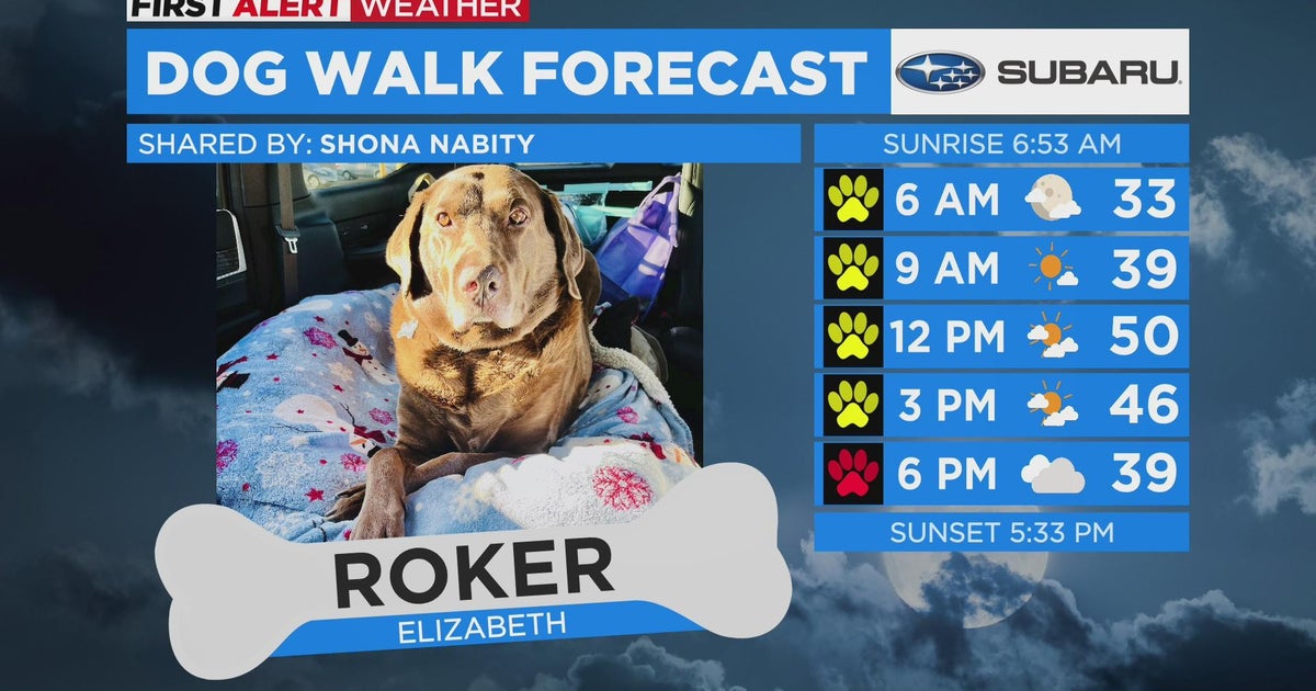 Roker joins Dog Walk Forecast - CBS Colorado