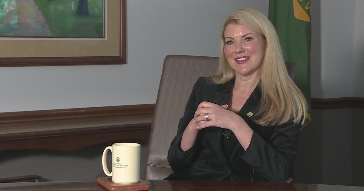 Amy Parsons plans to boost faculty pay, recruit diversity as 16th CSU ...