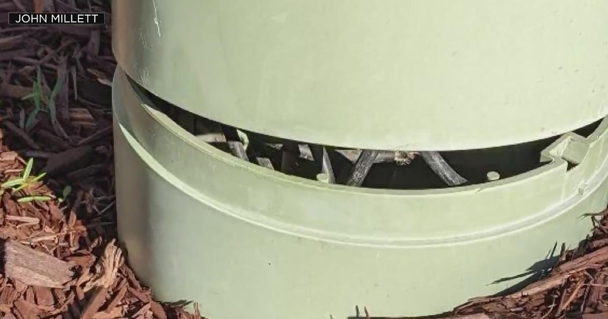 Call Kurtis: Exposed internet cables and a new volunteer record - CBS ...