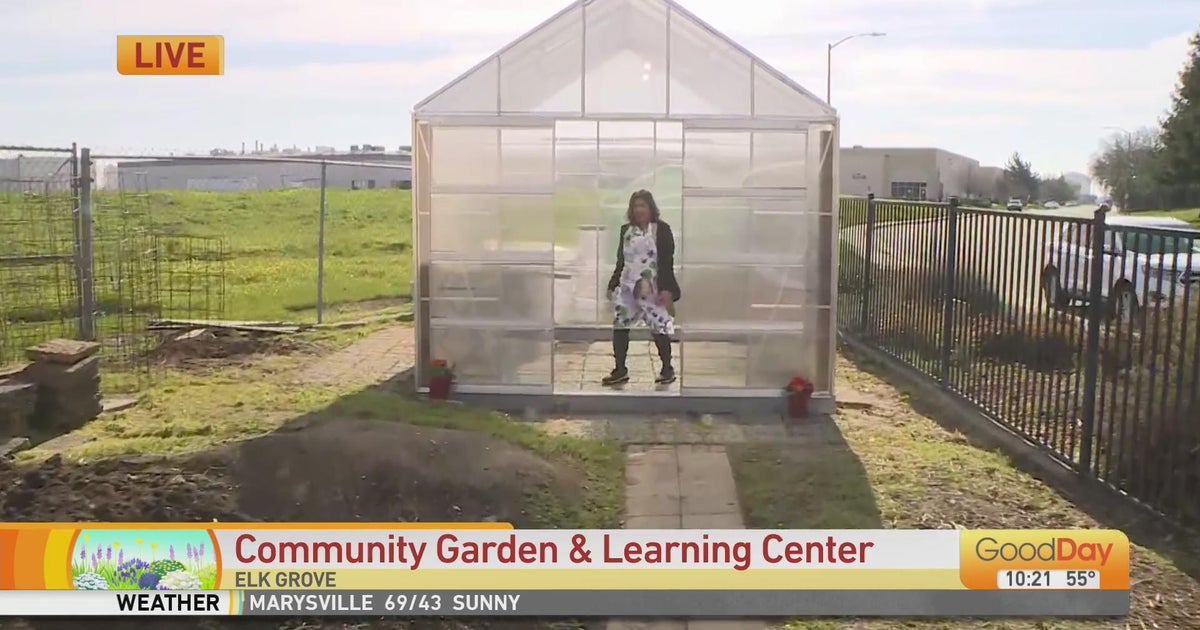 Elk Grove Community Garden - Good Day Sacramento