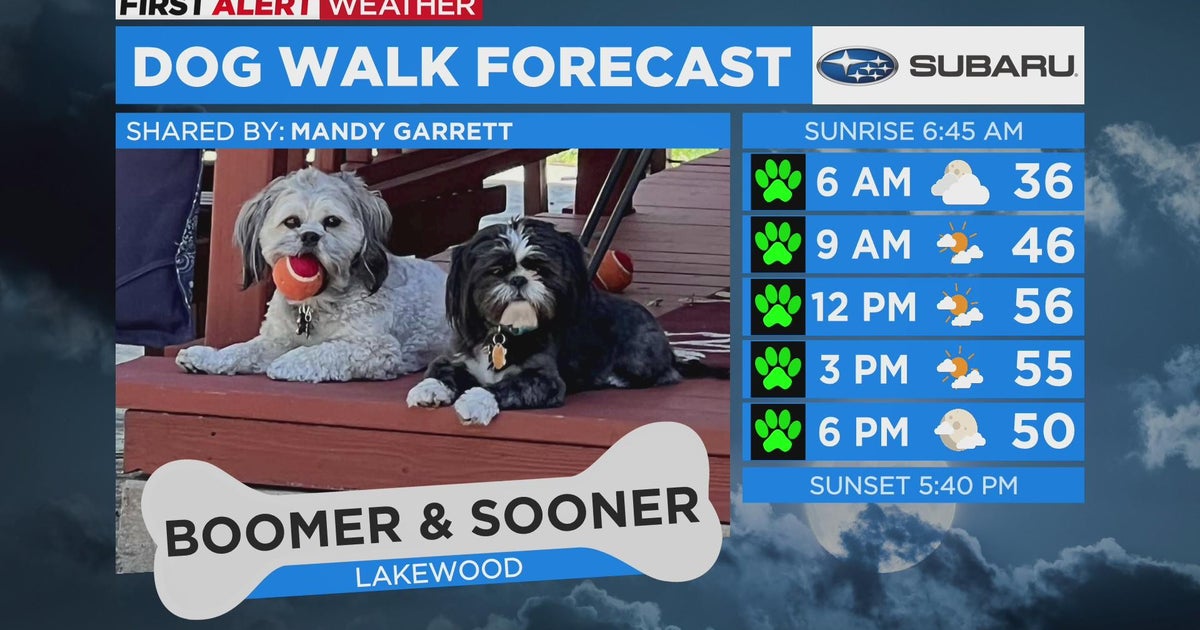 Boomer and Sooner join Dog Walk Forecast - CBS Colorado