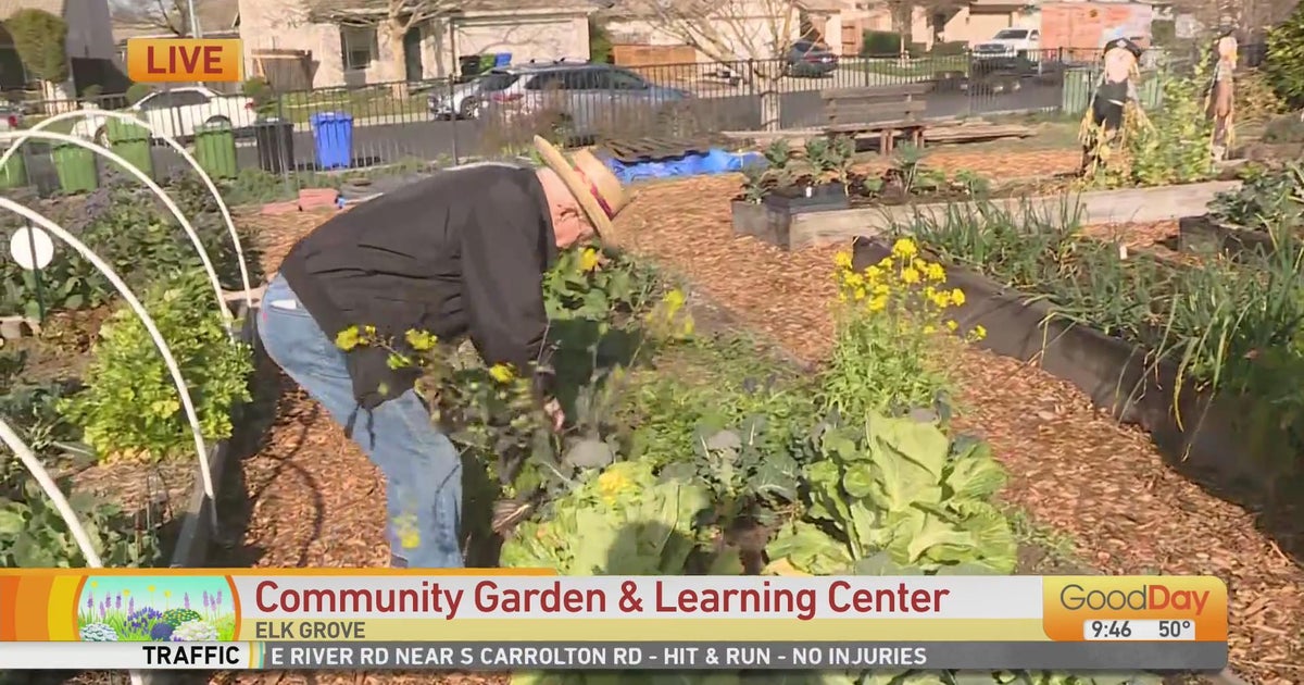 Elk Grove Community Garden - Good Day Sacramento