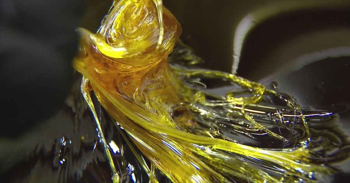 Preview: How a MN hemp farm makes THC products - CBS Minnesota