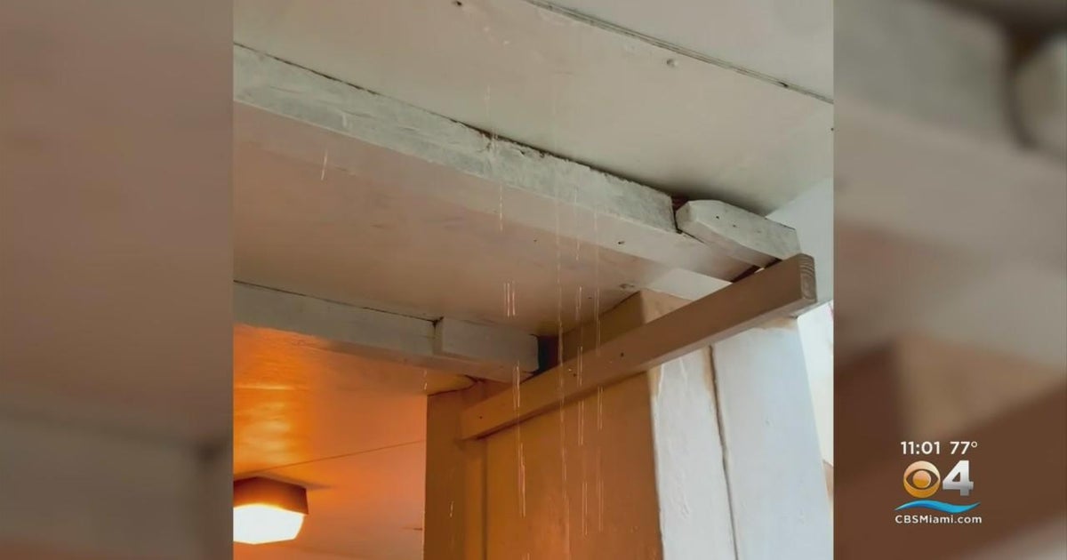 Broken Classrooms: A CBS Miami Investigation - CBS Miami