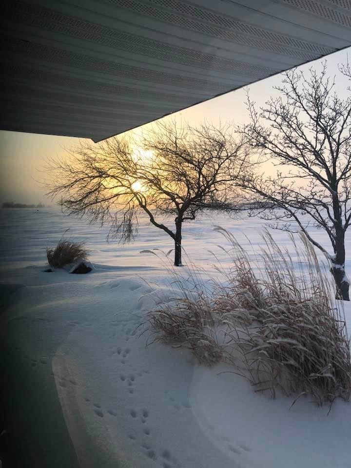 Snowstorm pics: Minnesotans share photos of winter landscapes