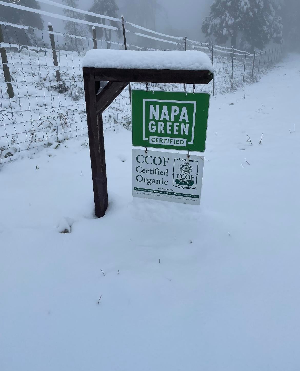 Photos: Rare winter storm delivers snow across the Bay Area