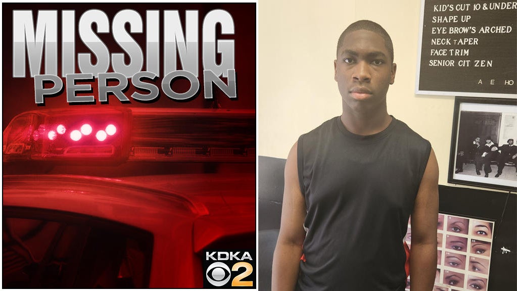 Wilkins Township Police searching for missing 17-year-old Jayshawn ...