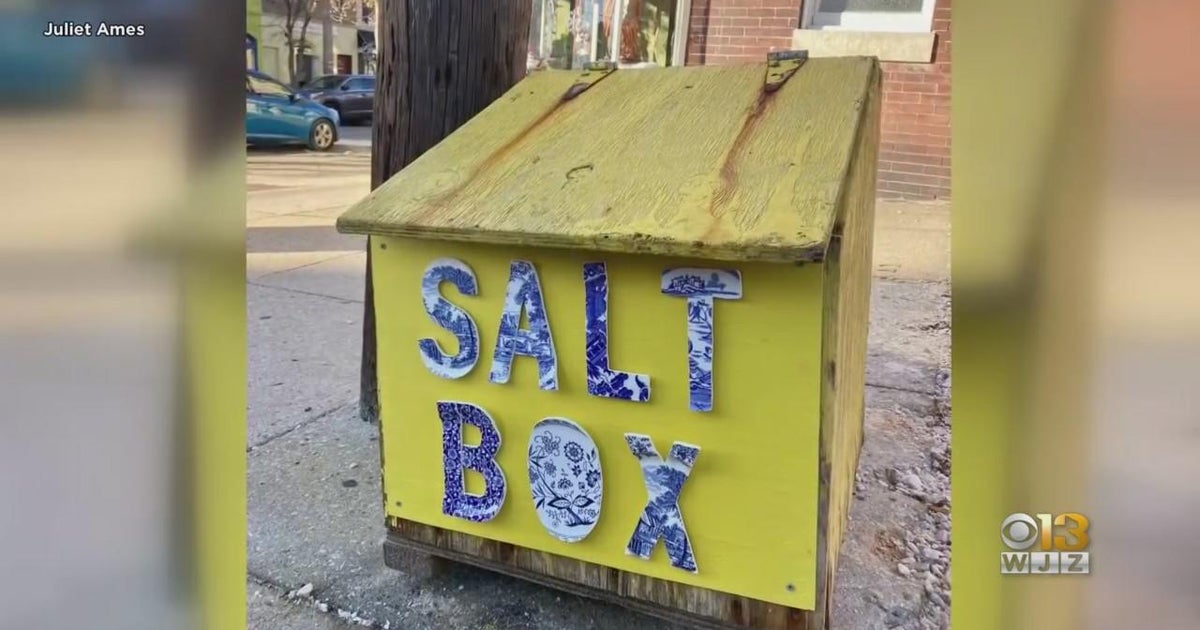 American Visionary Art Museum puts a spotlight on Baltimore's saltbox ...