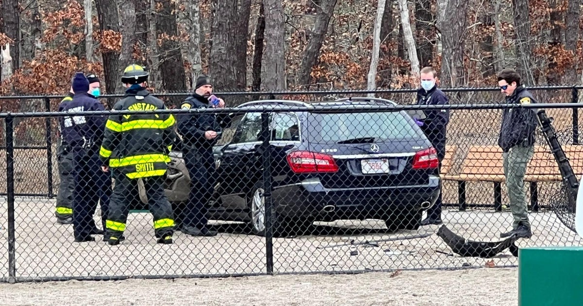 Woman crashes into Barnstable dog park - CBS Boston