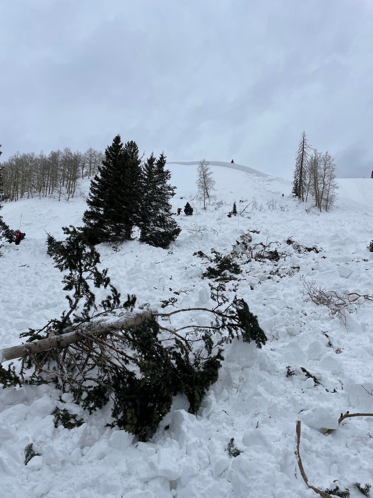 Third person killed in Colorado avalanche in as many days - CBS News