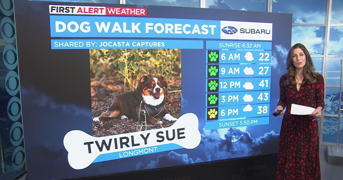 Twirly Sue joins Dog Walk Forceast - CBS Colorado