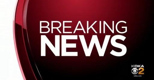 Remains found in New Castle identified as Christopher Story - CBS ...