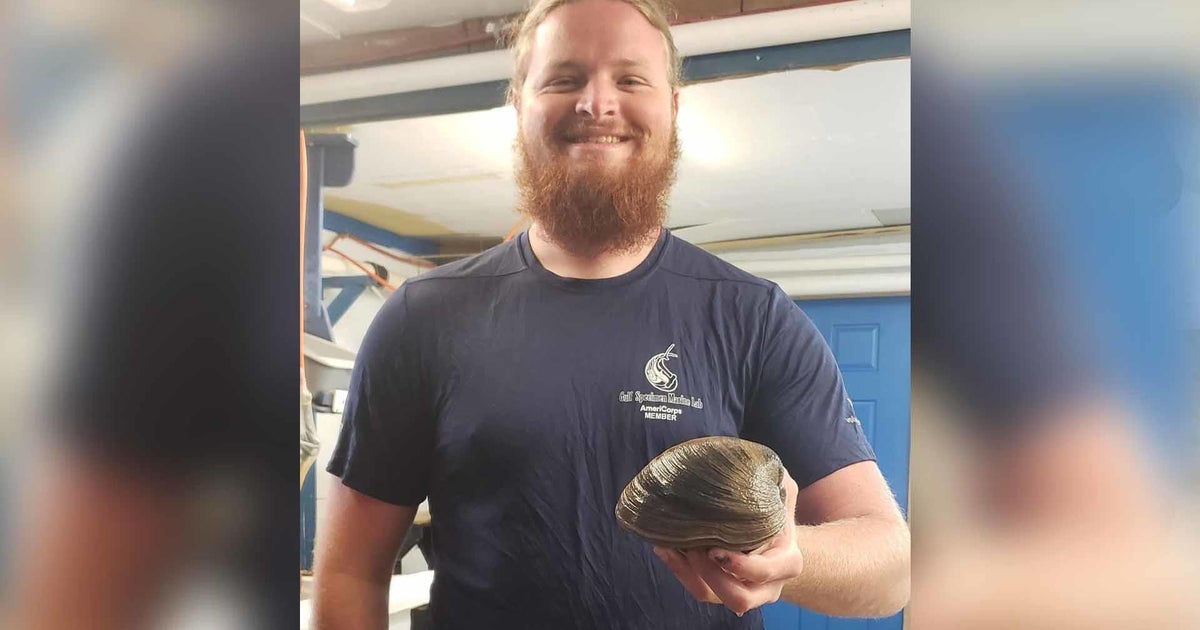 Florida man finds giant clam estimated to be 214 years old - CBS News