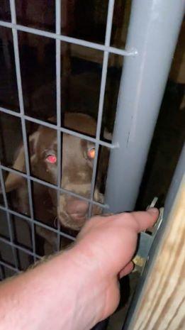 Alex Murdaugh trial: How Paul Murdaugh testified "from the grave" to ...