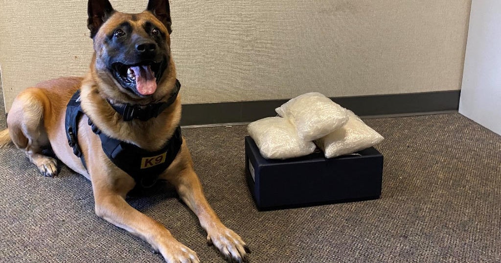 Santa Rosa police dog sniffs out 6.6 pounds of meth during traffic stop ...