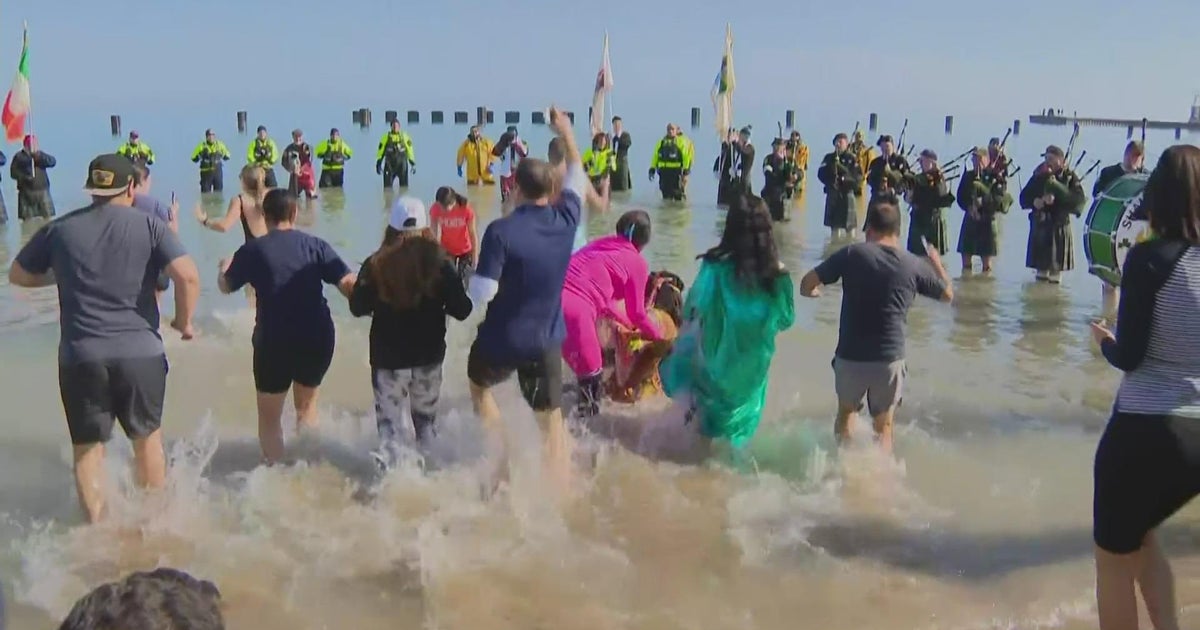 Hundreds brave frigid Lake Michigan waters for Polar Plunge - CBS Chicago