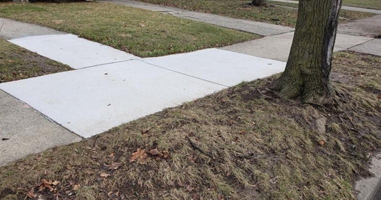 Detroit opens applications for $25M sidewalk replacement program - CBS ...