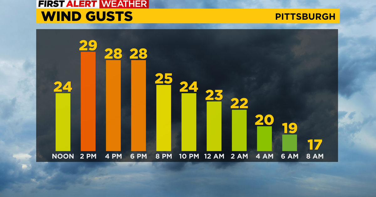 Pittsburgh Weather: Blustery winds, snow showers remain through Tuesday ...