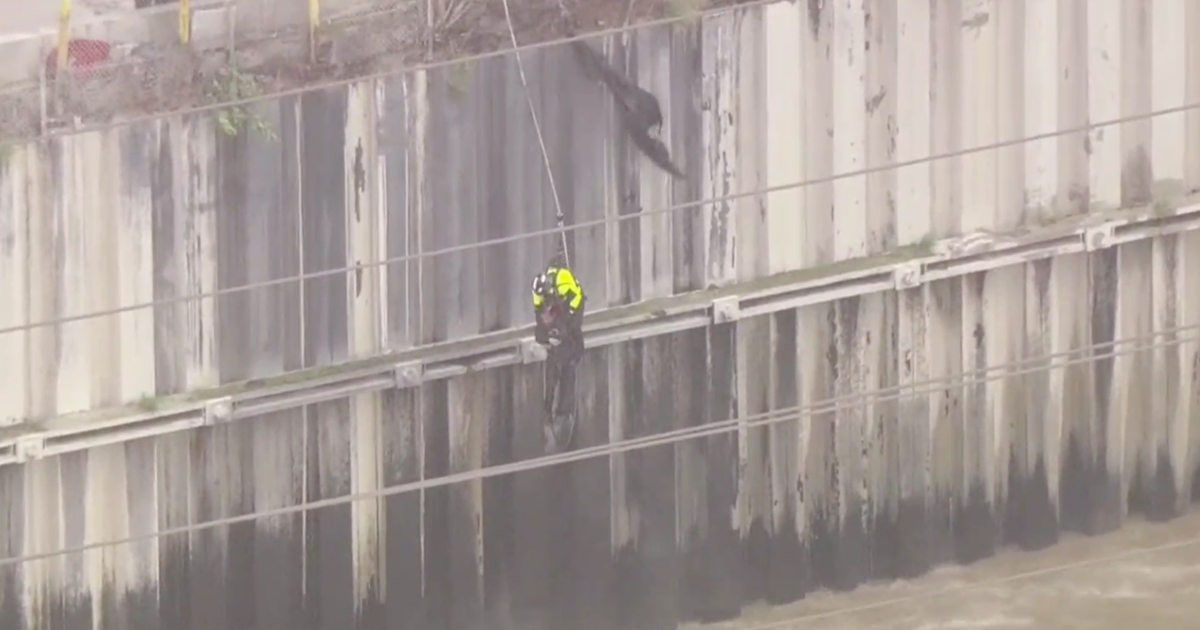 LAFD crews rescue man trapped by swift-moving LA River water in Boyle ...